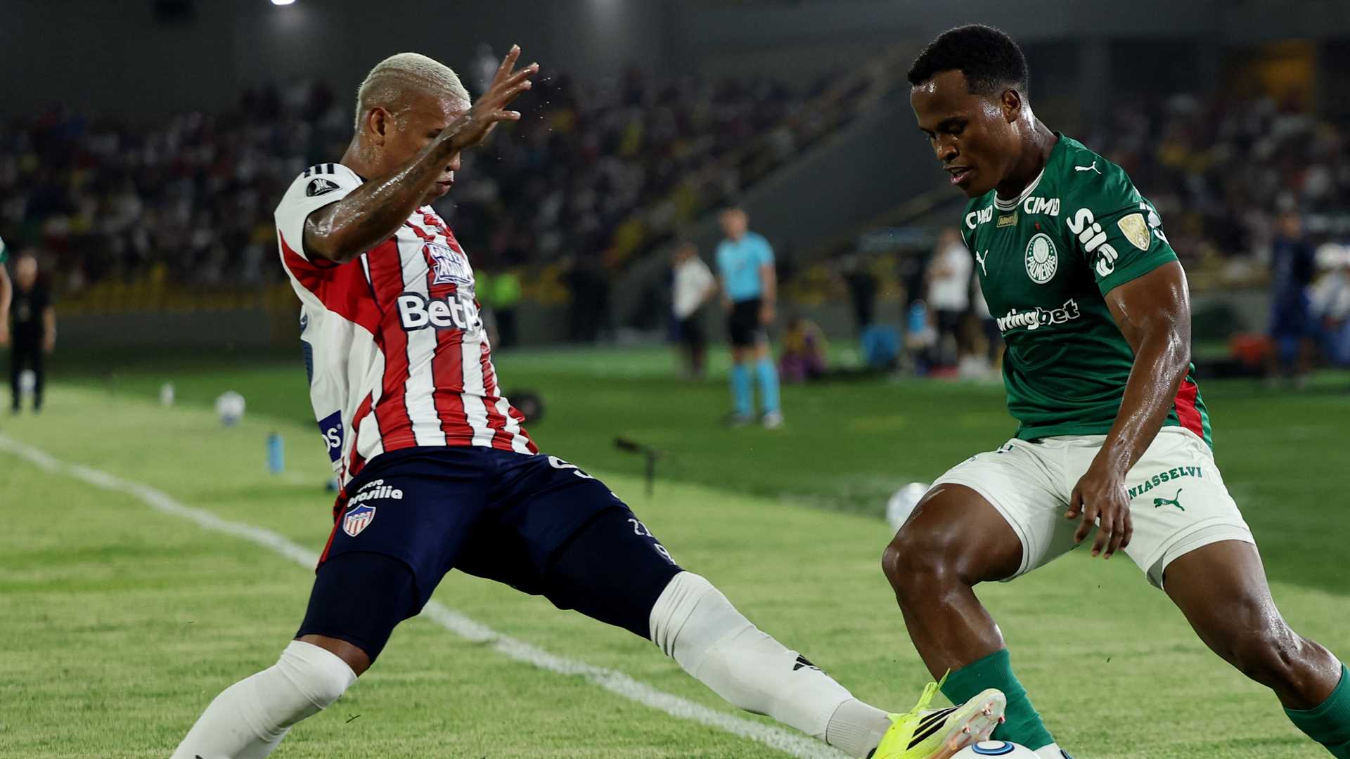 Watch Live Sports Online in Australia | beIN SPORTS CONNECT